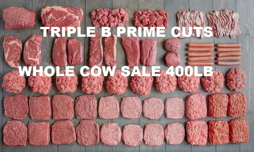 Triple B Prime Cuts – Angus Beef (Grass-Fed & Grain-Finished) – Whole ...